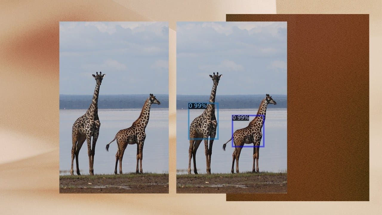 Microsoft Launches Open-Source GIRAFFE Tool To Help Save Tanzania’s ...