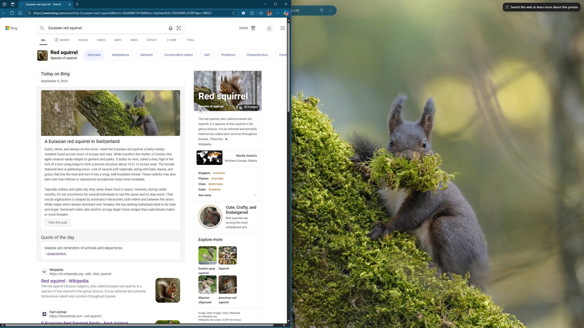 Bing Wallpaper App: Instantly Transform Your Windows 11 Desktop With ...